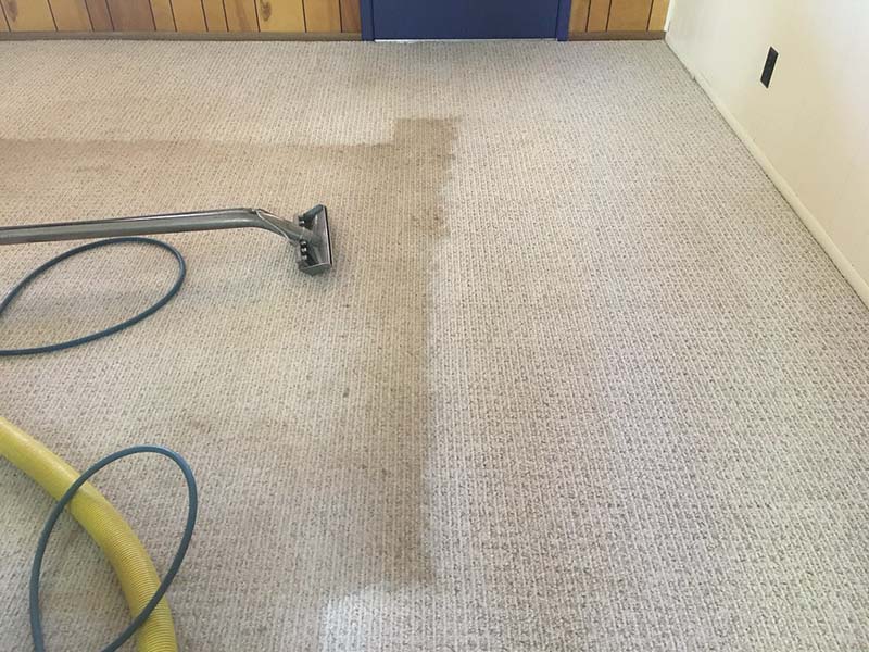 Are carpets good or bad?